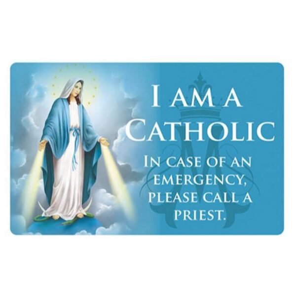 Blessed Mother ID Card - The Miraculous Medal Shrine Gift Shop